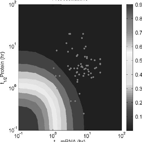Comparison Between Experimental Data And Model Predictions Concerning