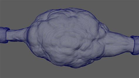 Neuron Bipolar Model Turbosquid 2235927