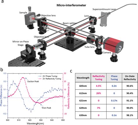 dynamic phase tuning with enhanced excitonic and trionic resonances in