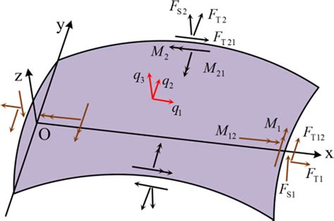 force diagram of doubly curved surface download scientific diagram