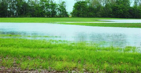 Plano Reports Another Sanitary Sewer Overflow Homepage