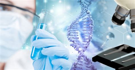 Safe Harbour Wellness Nutrigenomic Testing And Analysis