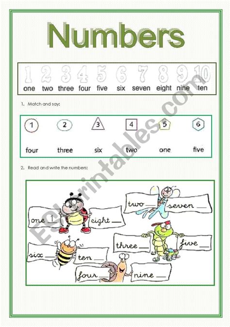Numbers ESL Worksheet By Teacherjusilva
