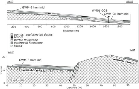 Detailed Sections Of Fossil Sites Yielding Ardipithecus Ramidus In The
