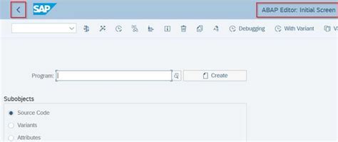 How To Logon To Sap System