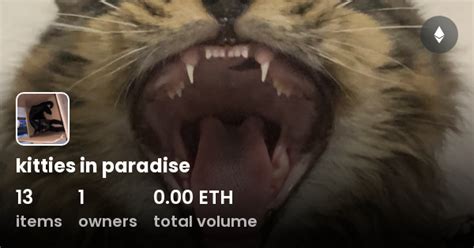 Kitties In Paradise Collection Opensea