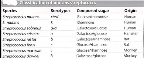[solved] Making Flowchart Streptococcus Mutans Course Hero