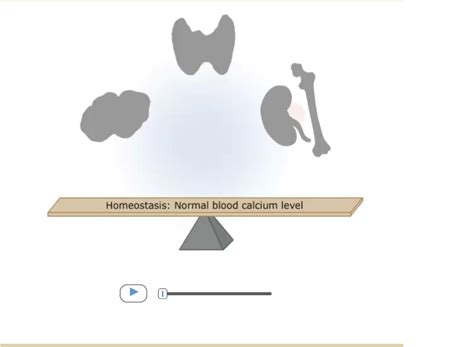 solved now consider how these components of a homeostatic