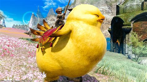 Astrologian Arm Norirow Note Eorzean Diary In Ff14
