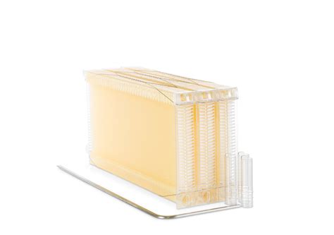 Flow Frames L Flow Hive Honey On Tap Beehive Flow Hive Au