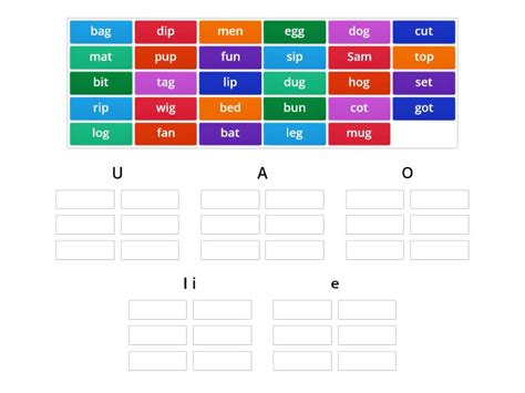 Short A E I O U Group Sort