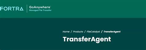 Unleash The Speed Your Guide To Filecatalyst Transfer Agent