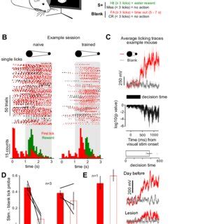 Visual Detection Involves Visual Cortex In Mice A Schematic Left Download Scientific