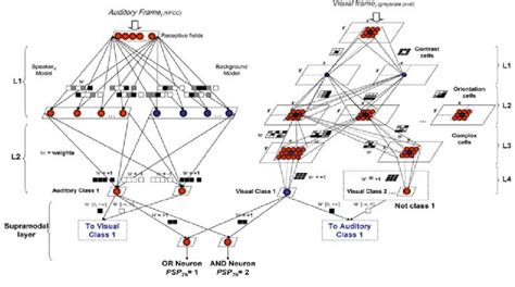 Crossmodal Audiovisual Integrative Esnn Download Scientific Diagram