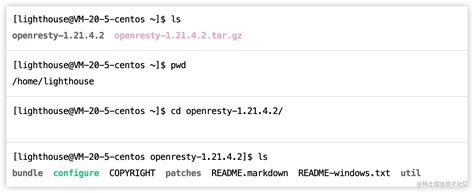 Openresty 源码编译安装并运行 Hello World 掘金