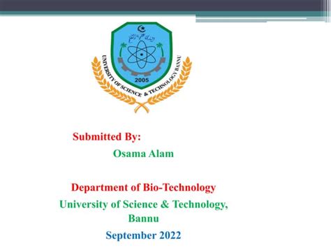 Research Report Pptx