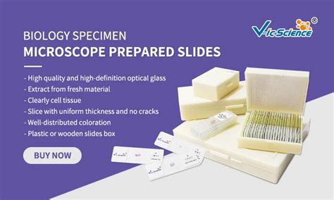 Microscope Slide Of Pathology Disease Educational Slides