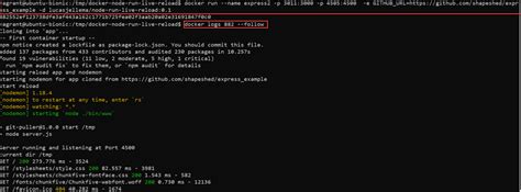 Generic Docker Container Image For Running And Live Reloading A Node