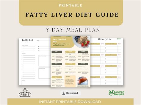 Fatty Liver Diet Guide 7 Day Meal Plan Printable Etsy