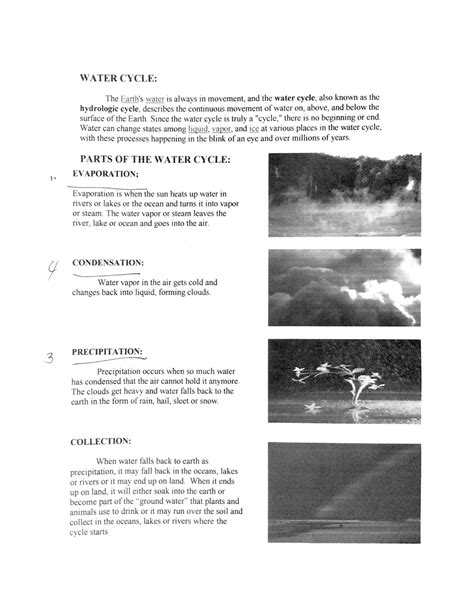 SOLUTION Importance Of Nutrient Cycle Studypool