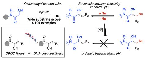 Covalent Modifiers Dna Compatible Solid Phase Combinatorial Synthesis
