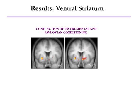 Ppt Neuroimaging Of Associative Learning Powerpoint Presentation