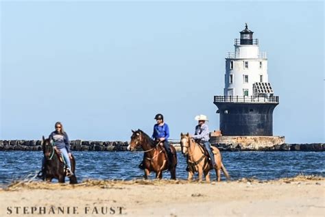 Beach Riding Album On Imgur