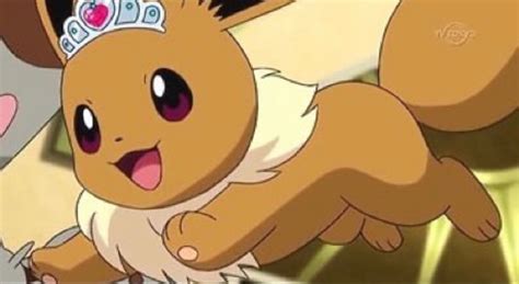 Pokemon Eevee  Pokemon Eevee Eevee Sleeping Discover Share S
