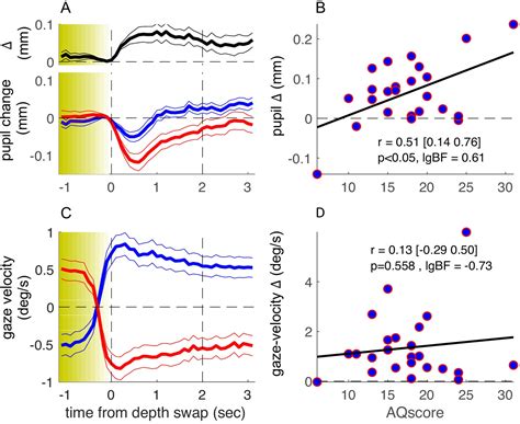 Objective Pupillometry Shows That Perceptual Styles Covary With