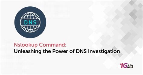 What Is Nslookup Command Linux Mac Windows Cmd