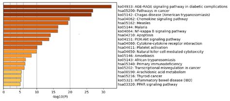 Kegg Enrichment Analysis Results Download Scientific Diagram