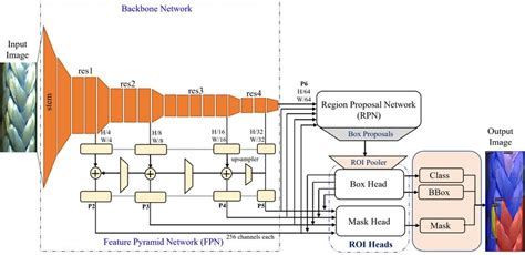 Architecture Of Detectron2 Model Download Scientific Diagram
