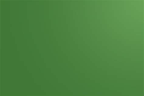 Do Hydrangeas Need Ericaceous Soil Understanding Soil Preferences