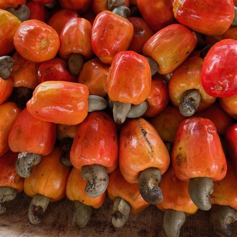 Swiftui Understanding Core Data Draft Des