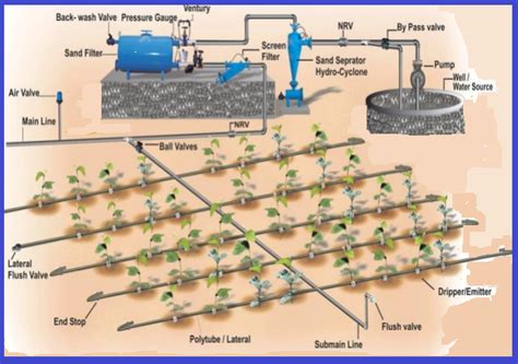 Irrigation Its Types And Storage Systems The Knowledge Library
