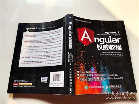 angular权威教程 nice angular社区 译 孔夫子旧书网