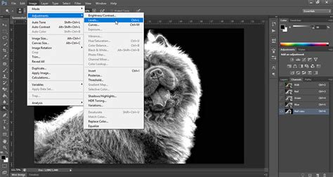 Extract Complex Photo Background In Photoshop