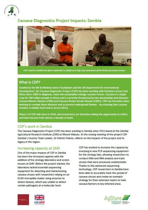 Cassava Diagnostics Project Impacts Zambia Agshare Today Resource Centre