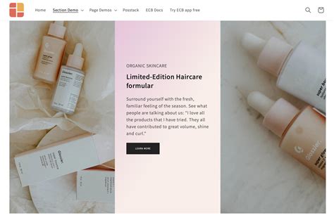 Mastering Custom Sections A Showcase Of 8 Inspiring Shopify Examples