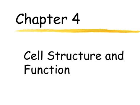 Chapter 4 Cell Structure And Function 1 What Is A Cell Z A Cell Is