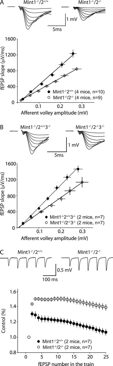 Synaptic Transmission Deficits At Schaffer Collateral Ca1 Pyramidal Download Scientific Diagram