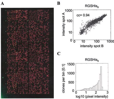 Protein Microarray Of 2413 Recombinant Purified Human Proteins A