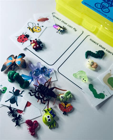 Miniature Bug Sorting Kit Sorting Insect Objects Preschool Sorting T Speech And Smile