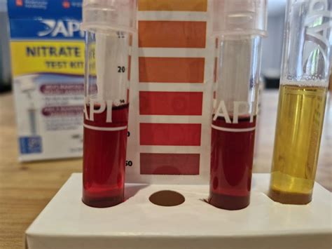 I Bought Some Fertiliser To Test Nitrate Leaching But When I Did A