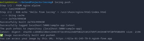 Reduce The Use Of Cloud Registries In Your Development Process With Locreg By Maksym