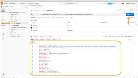 Explore The Anypoint Platform Apis With The Postman Collection