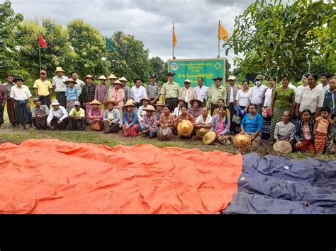 ကန့်ဘလူမြို့နယ်တွင် ဧရာမင်းစပါး မျိုးစေ့ထုတ် စိုက်ပျိုးပြသခြင်းကွင