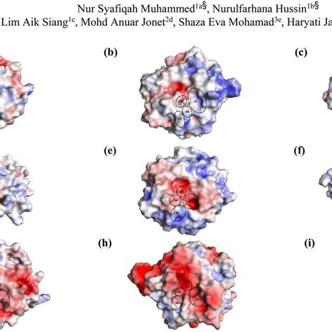 Molecular Electrostatic Surface Potentials Of Subtilisin Like Serine