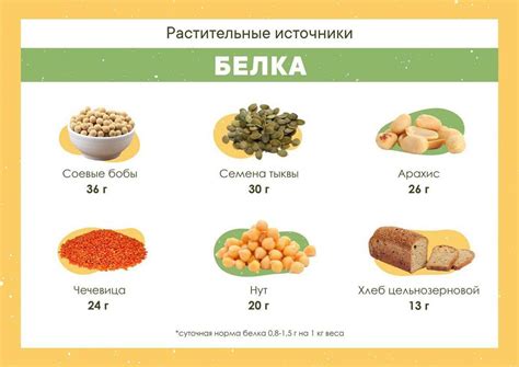 Продукты содержащие белок в большом количестве для мясоедов и вегетарианцев
