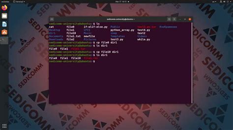 Основы Linux для программируемых сетей и систем — копирование и перемещение файлов курсы Devops